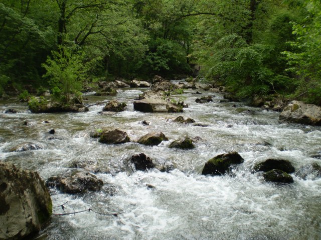 Resava – carstvo potočara | List MUŠIČAR