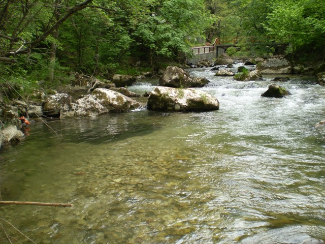 Resava – carstvo potočara | List MUŠIČAR