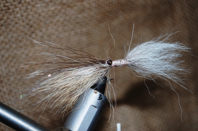 SBS: Račić | List MUŠIČAR