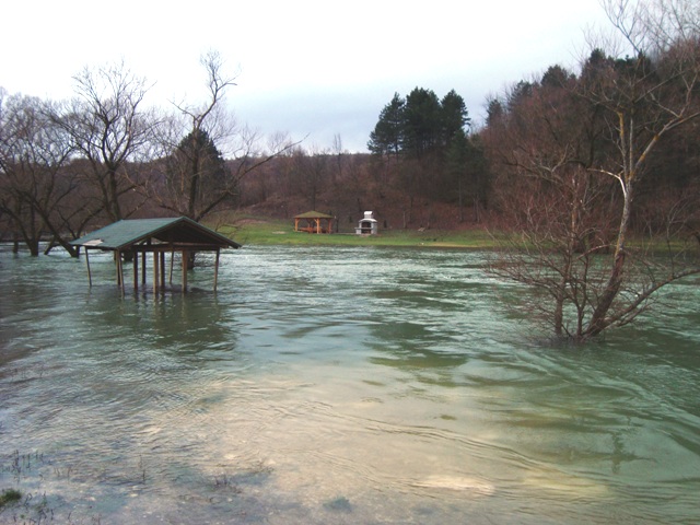 Klokot | List MUŠIČAR