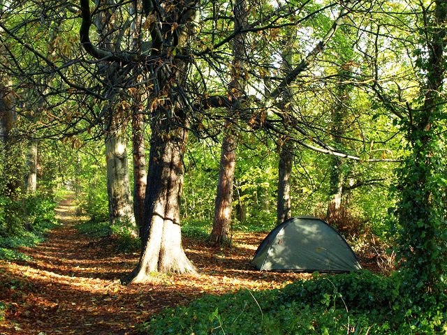 Boravak u prirodi - saveti | List MUŠIČAR