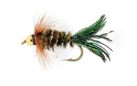 Zug Bug | List MUŠIČAR