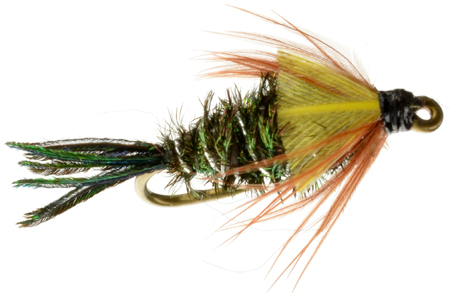 Zug Bug | List MUŠIČAR