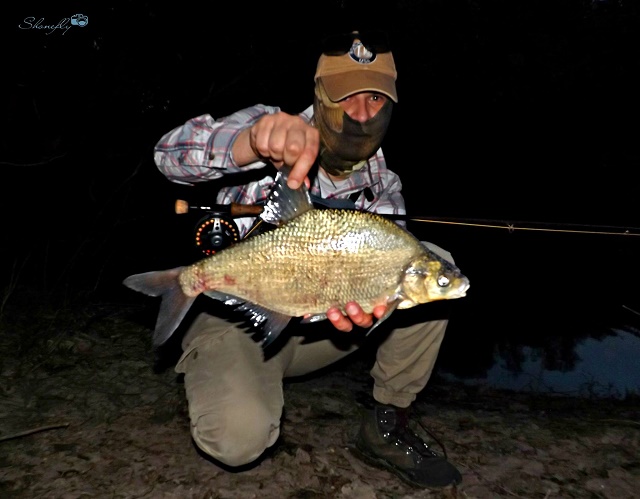 Deverika - Nebojša Pavlović, Šone | List MUŠIČAR