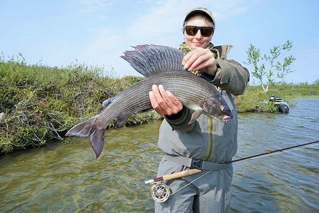 Lipljan iz Zaboravljenog jezera | List MUŠIČAR