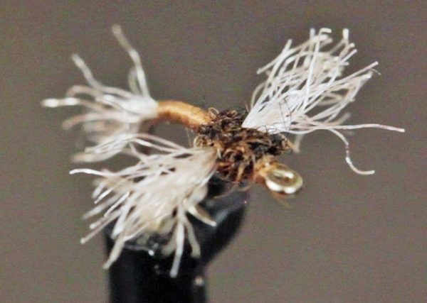 Zelon midge | List MUŠIČAR