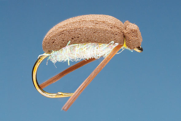 Corixa | List MUŠIČAR