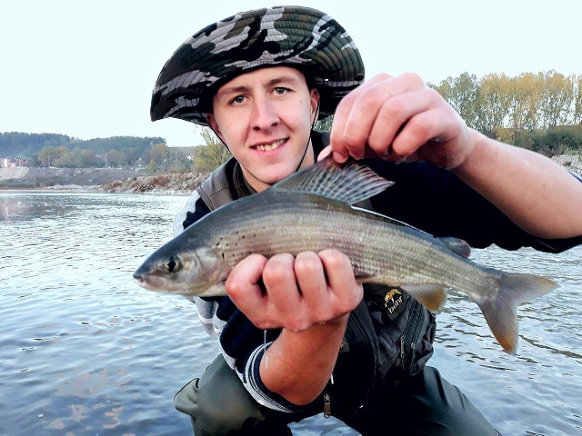 Lipljan iz Lima - Arso Jeremić | List MUŠIČAR