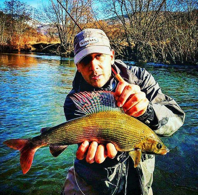 Lipljan - Ivan Kocić | List MUŠIČAR