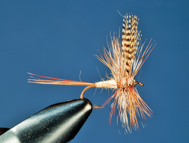 March brown suva muha - varijanta | List MUŠIČAR