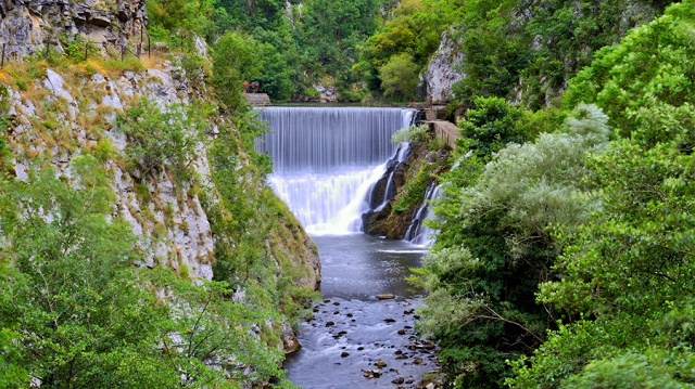 Reka Đetinja | List MUŠIČAR