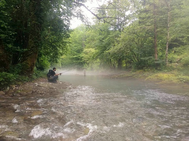 Curak, Kupica i Kupa u jednom danu | List MUŠIČAR