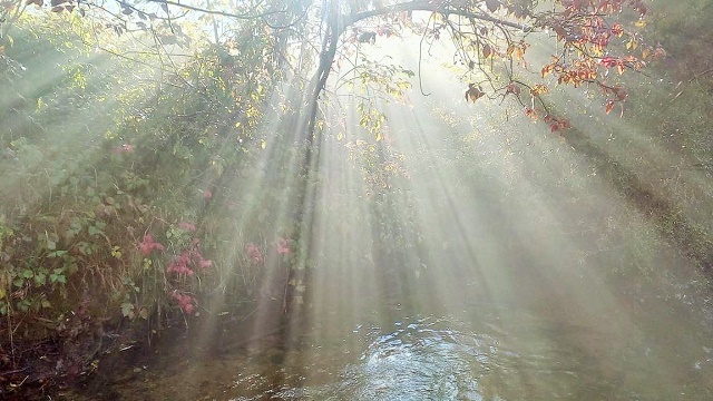 Legenda o jeseni, mušičarenje na rijeci Dobri - Hrvatska | List MUŠIČAR