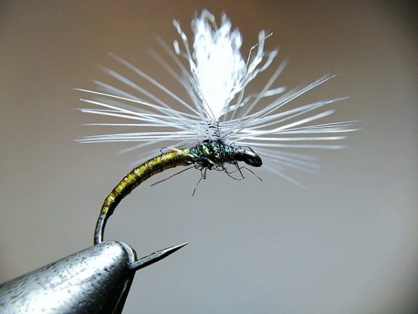 Suva muva s parašut nogicama | List MUŠIČAR