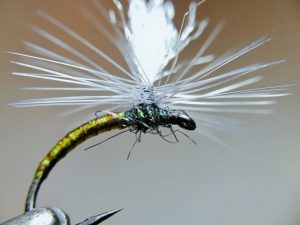 Suva muva s parašut nogicama | List MUŠIČAR