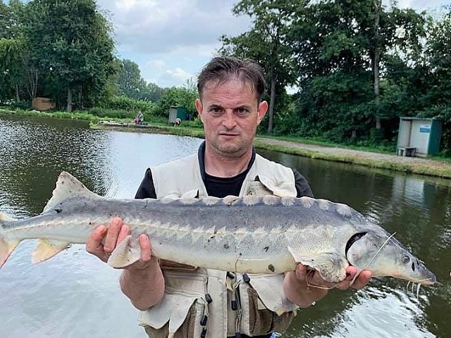 Jesetra na mahač – Miroslav Stojnev | List MUŠIČAR