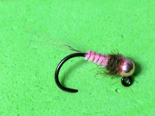 Nimfa Kraljica rečne doline | List MUŠIČAR