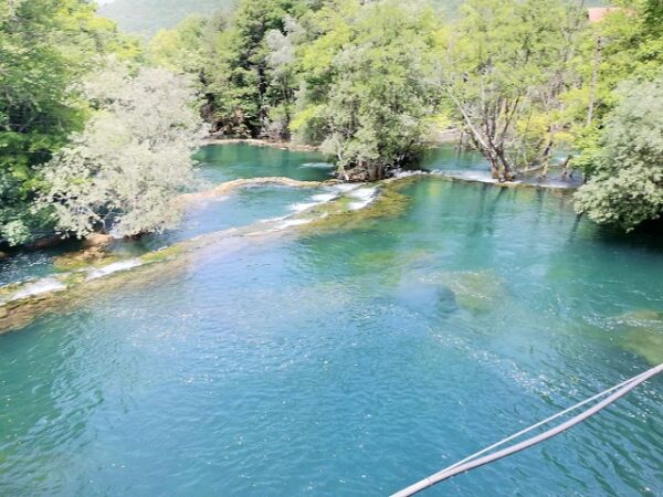 Una kod Martin Broda | List MUŠIČAR