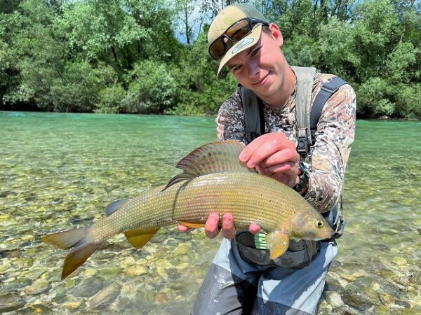 Lipljan od 47cm, Soča - Žan | List MUŠIČAR