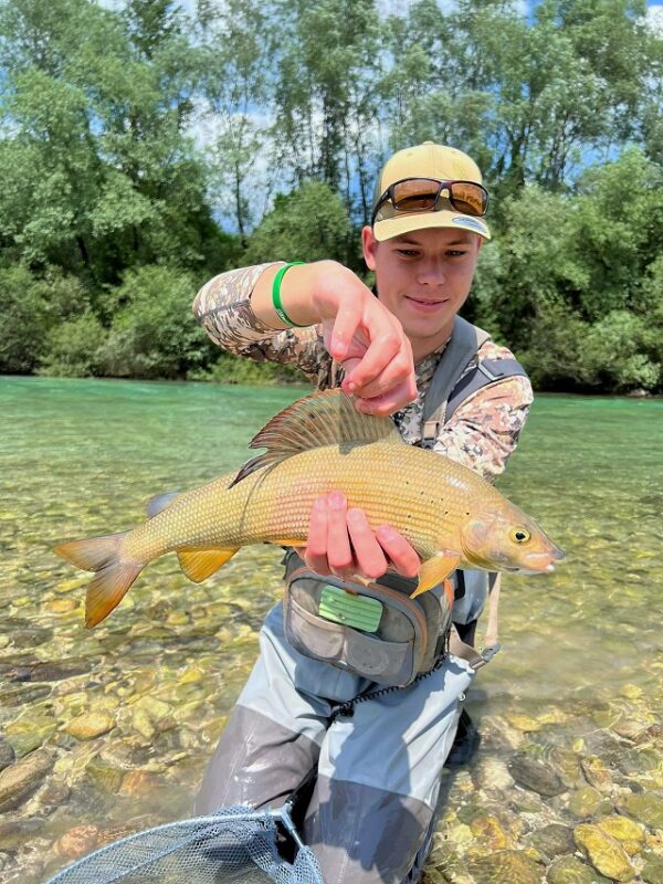 Lipljan od 47cm, Soča - Žan | List MUŠIČAR