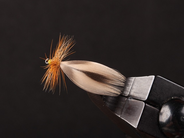 Evropa 12 – imitacija kedisa | List MUŠIČAR