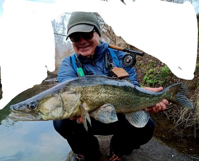 Pet velikih riba za sva vremena na mahač | List MUŠIČAR