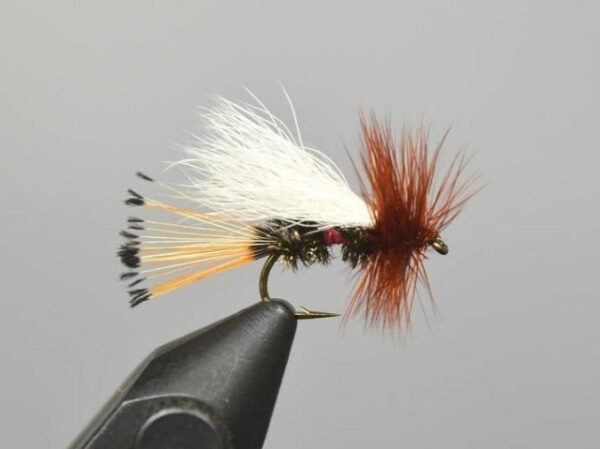 Mušica Royal Trude | List MUŠIČAR