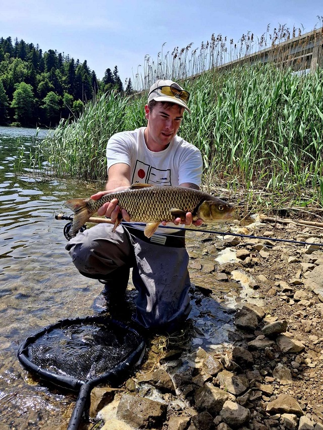 Mušičarenje štuke i klena | List MUŠIČAR