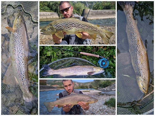 Ulovi sa Rijeke Rude u kolovozu | List MUŠIČAR