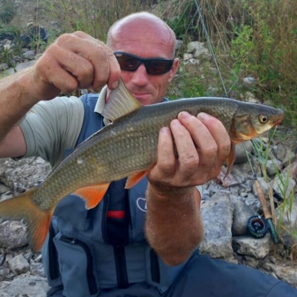 Škobalj na mahač, Lim – Milorad Vuksanović | List MUŠIČAR