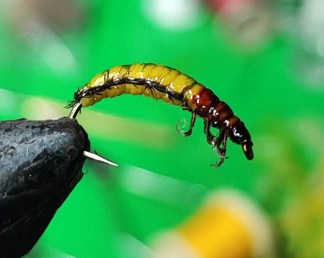 žuti 3 | List MUŠIČAR