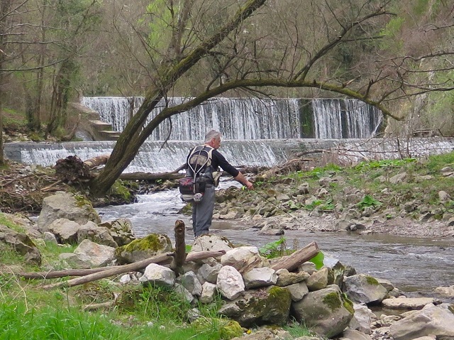 Dozvole za rekreativni ribolov u Srbiji 2025. | List MUŠIČAR