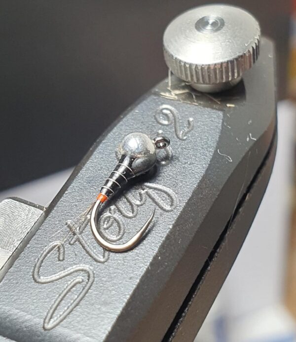 Nimfa perdigon zebra | List MUŠIČAR