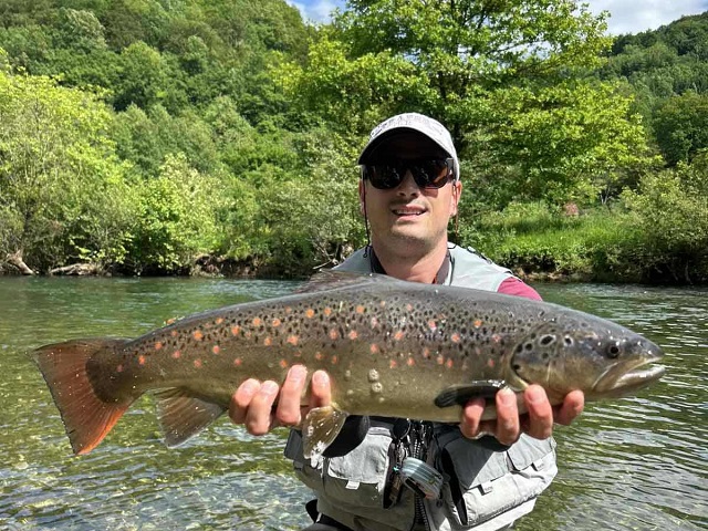 Tišina Ribnika i susret sa vladarom dubine | List MUŠIČAR