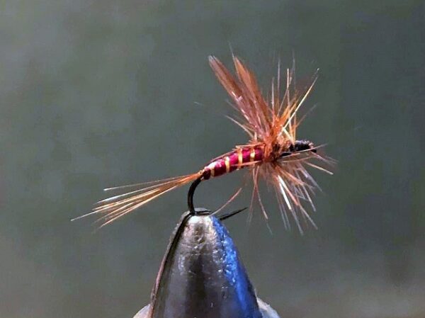 Popov pas muha | List MUŠIČAR